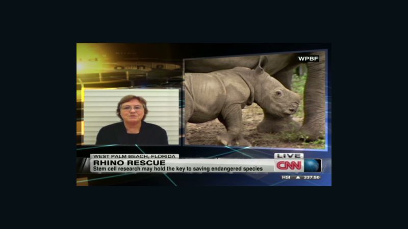 Stem cells could save endangered species | CNN