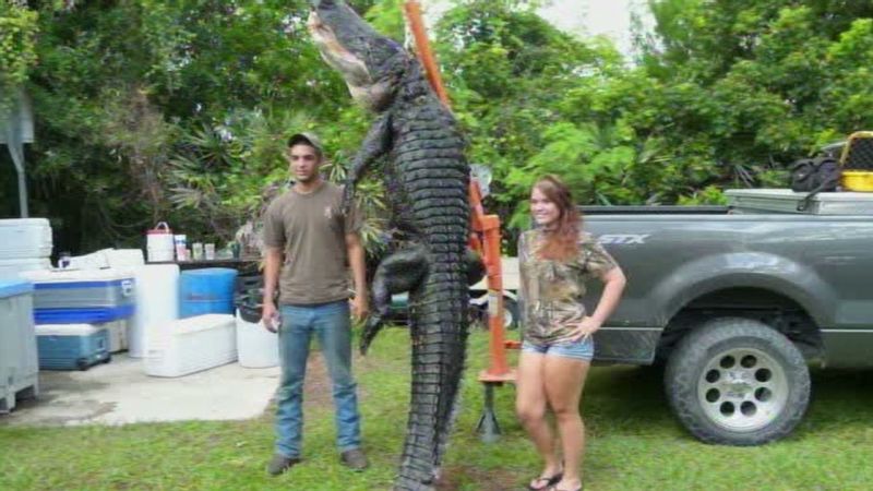 Teen catches 800-pound gator | CNN