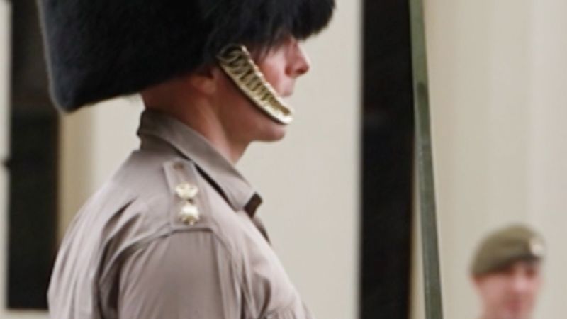 What are the honour guards’ hats made of? | CNN