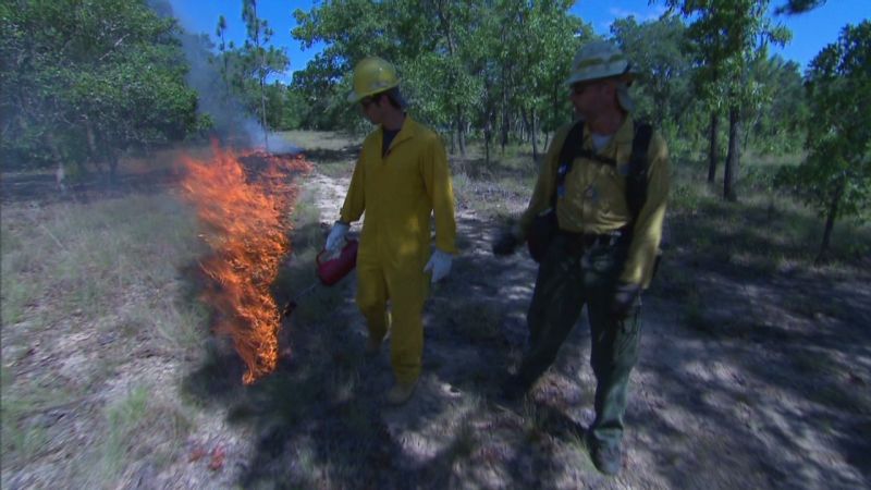Florida fights fire with fire | CNN