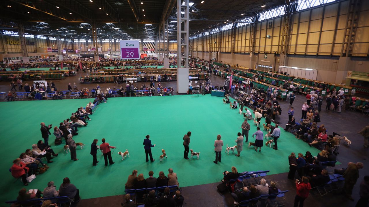 Photos Crufts Dog Show Draws Thousands CNN photos-crufts-dog-show-draws-thousands-cnn
