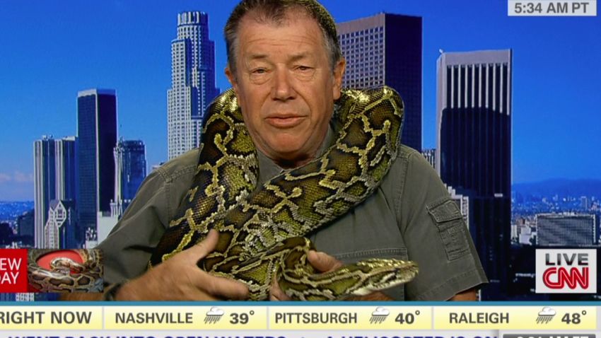 Python kills security guard in Bali | CNN