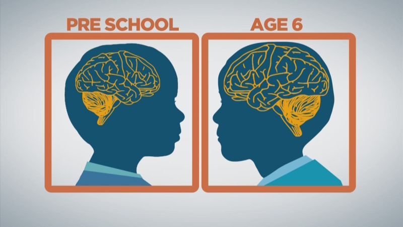 How baby brains develop | CNN