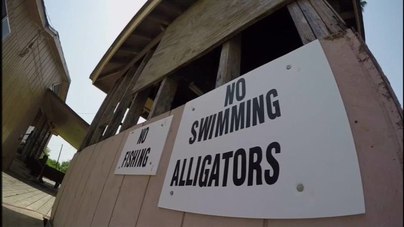 Late-night swim becomes a deadly alligator attack | CNN
