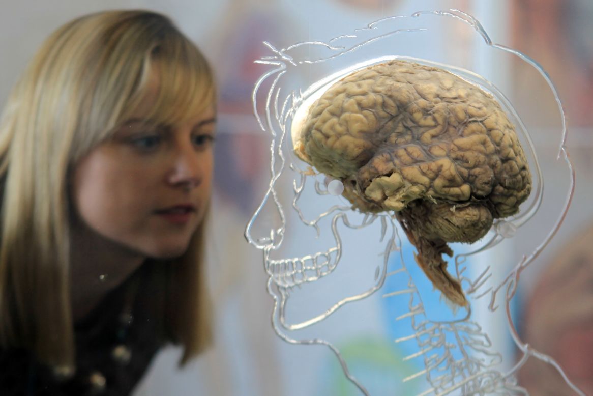 These Tips Could Improve Your IQ CNN these-tips-could-improve-your-iq-cnn