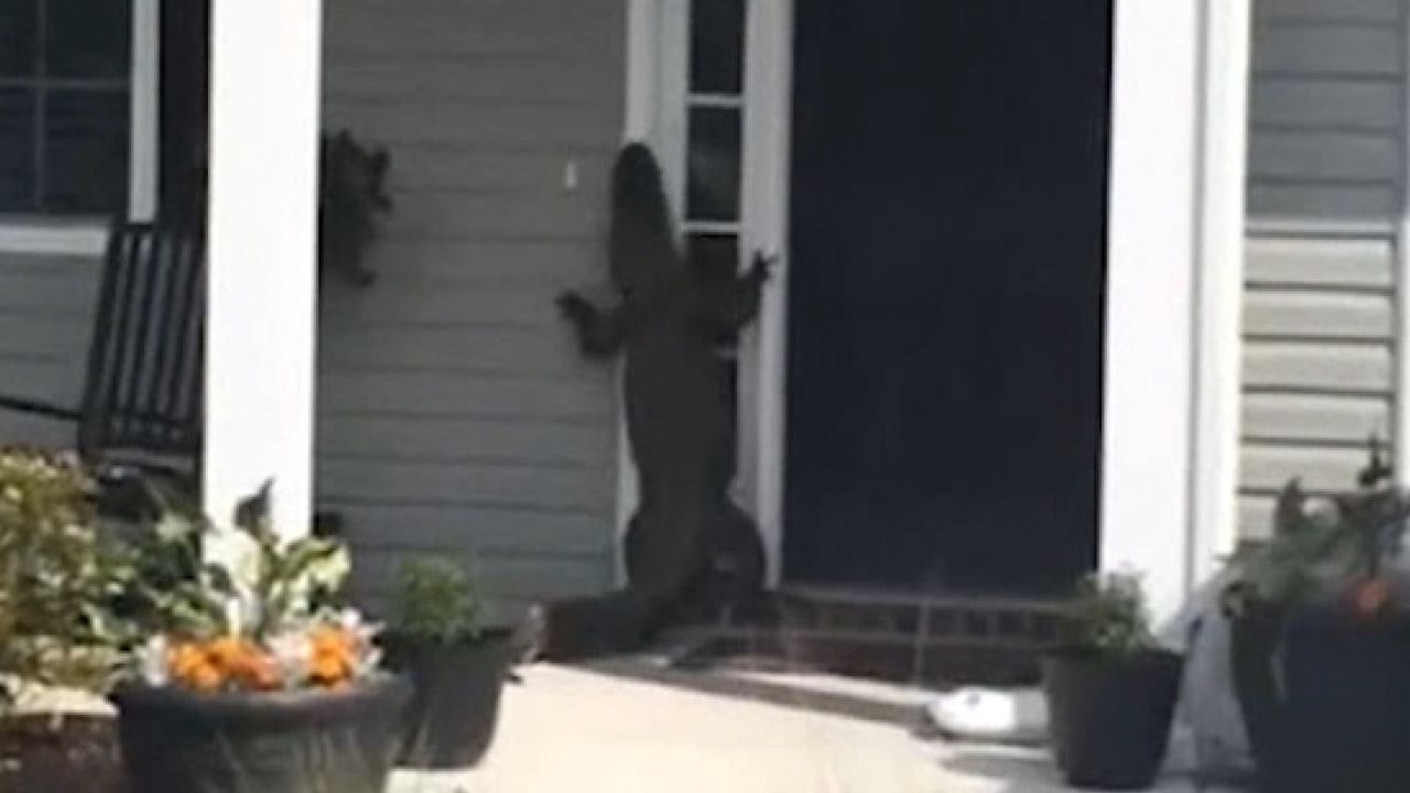 Knock knock … who’s there? | CNN