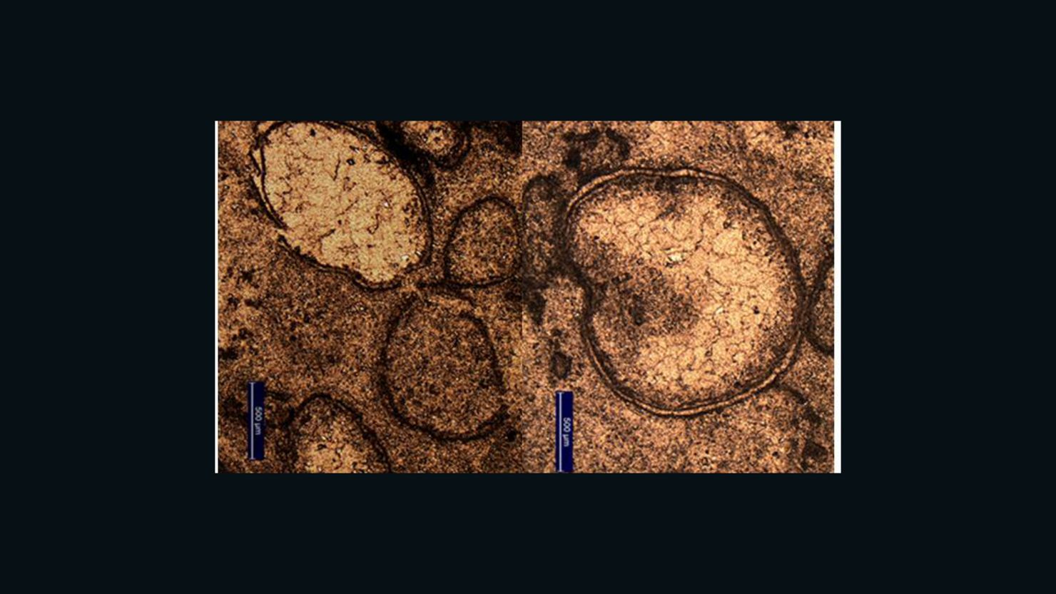 Evidence Of Apocalyptic Asteroid Bigger Than Dinosaur Killer Cnn