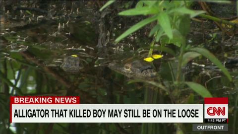 Disney alligator attack: Resort to add warning signs, source says | CNN