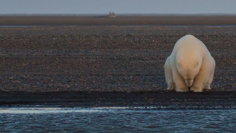 This is climate change | CNN