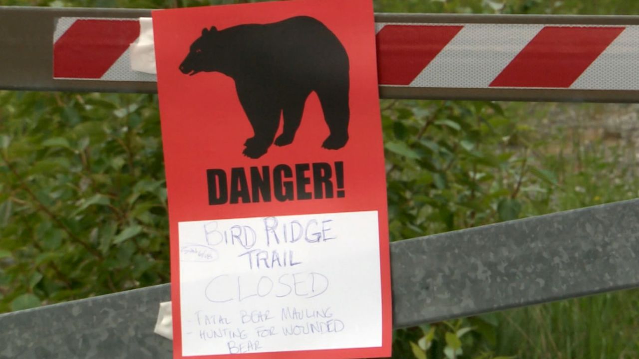 Two killed by bears in separate incidents | CNN