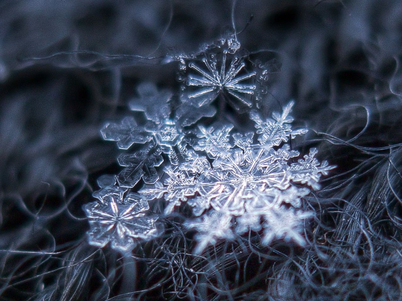 How history's first photos of snowflakes were made | CNN