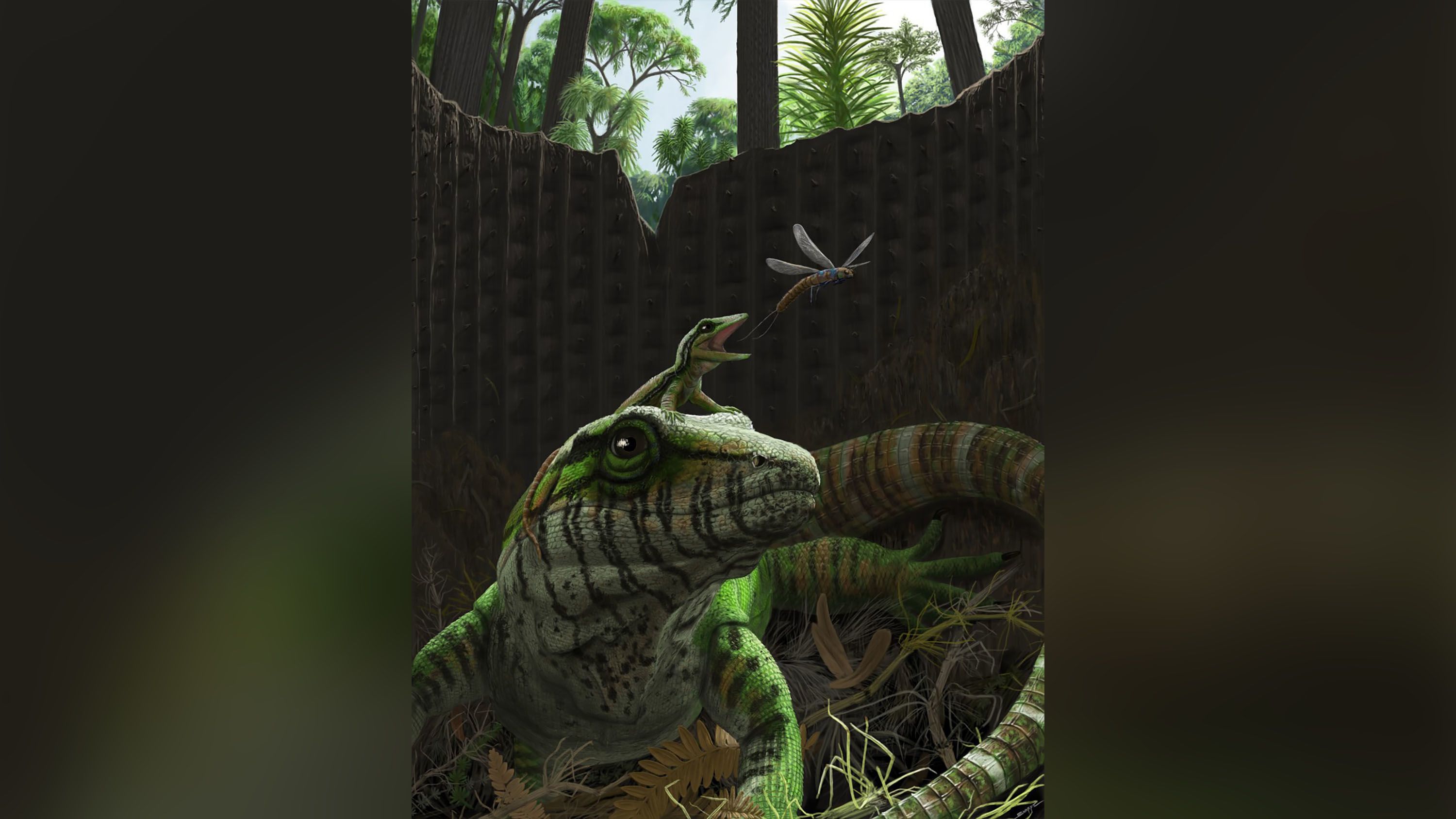 300 Million Years Ago Animals