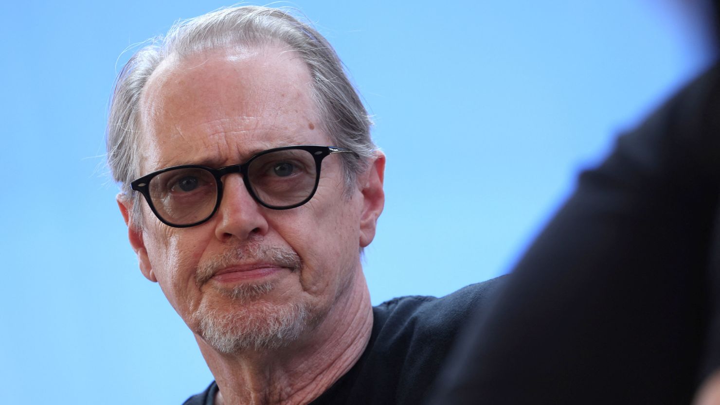 Steve Buscemi attack: NYPD says man arrested in attack and separate punching incident in New ...