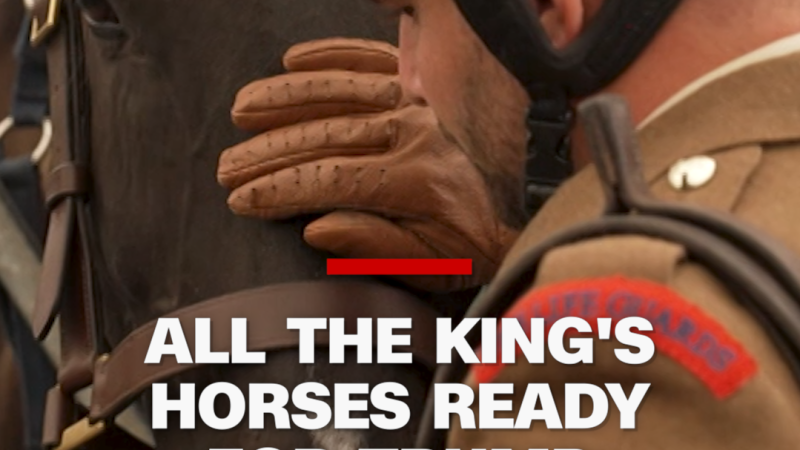 All the king’s horses ready for Trump parade | CNN