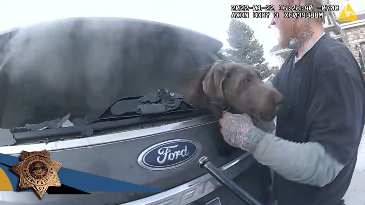 Watch: Bodycam captures dramatic dog rescue | CNN