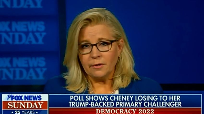Cheney Goes On Fox And Defends Her Trump Criticism Using Murdochs Own