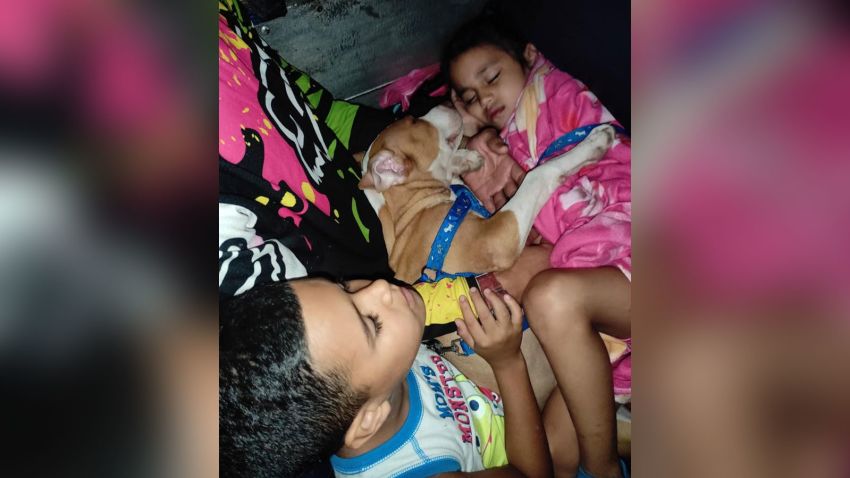 Migrants Step Off Buses From Texas Into New York Homeless Shelters Cnn