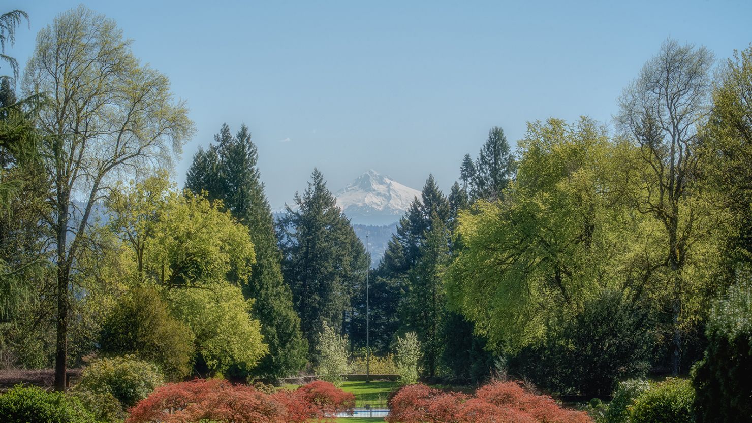 Lewis & Clark College student killed, two others injured in column ... Lewis & Clark College student killed, two others injured in column ...