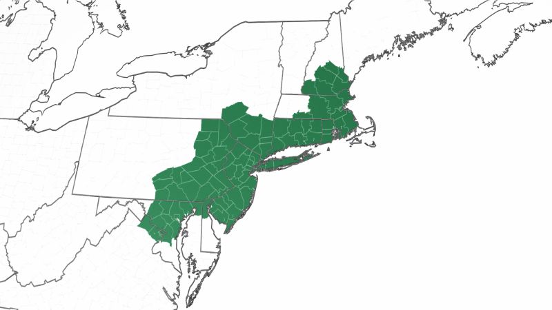 Millions Face Flash Flood Warnings And Watches In The Northeast Cnn