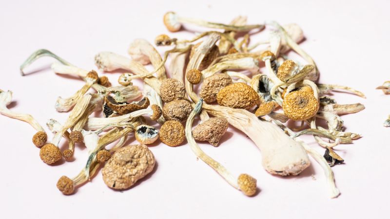 Dried Psilocybin Mushrooms