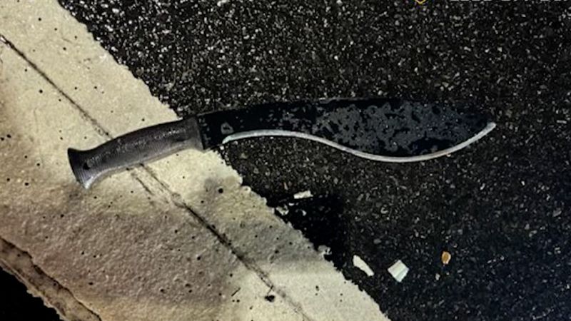 New details emerge about NYPD machete attack suspect | CNN