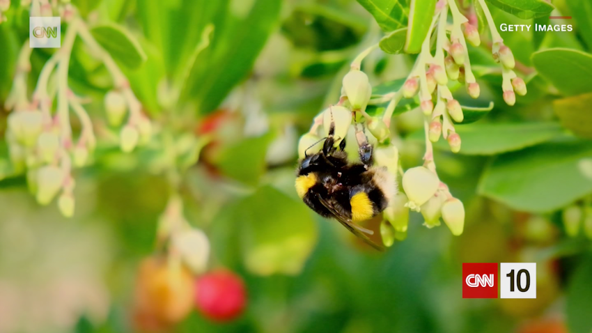 CNN 10: The big stories of the day, explained in 10 minutes | CNN