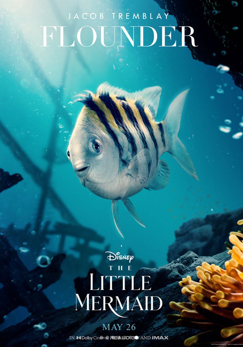 The Little Mermaid KarolynBriannah The Little Mermaid KarolynBriannah