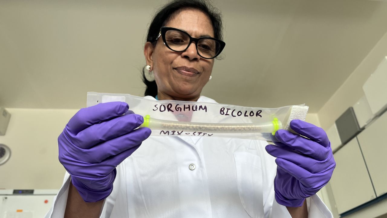 Scientists are growing seeds in space to help adapt to climate change ...