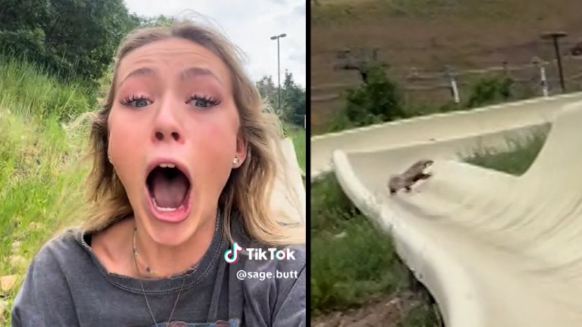 Badger runs for its life as woman barrels down mountain slide | CNN