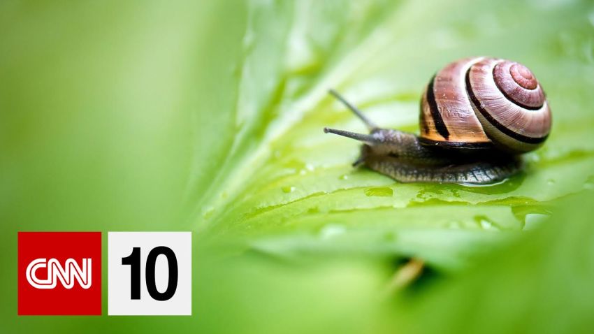 CNN 10: The big stories of the day, explained in 10 minutes | CNN