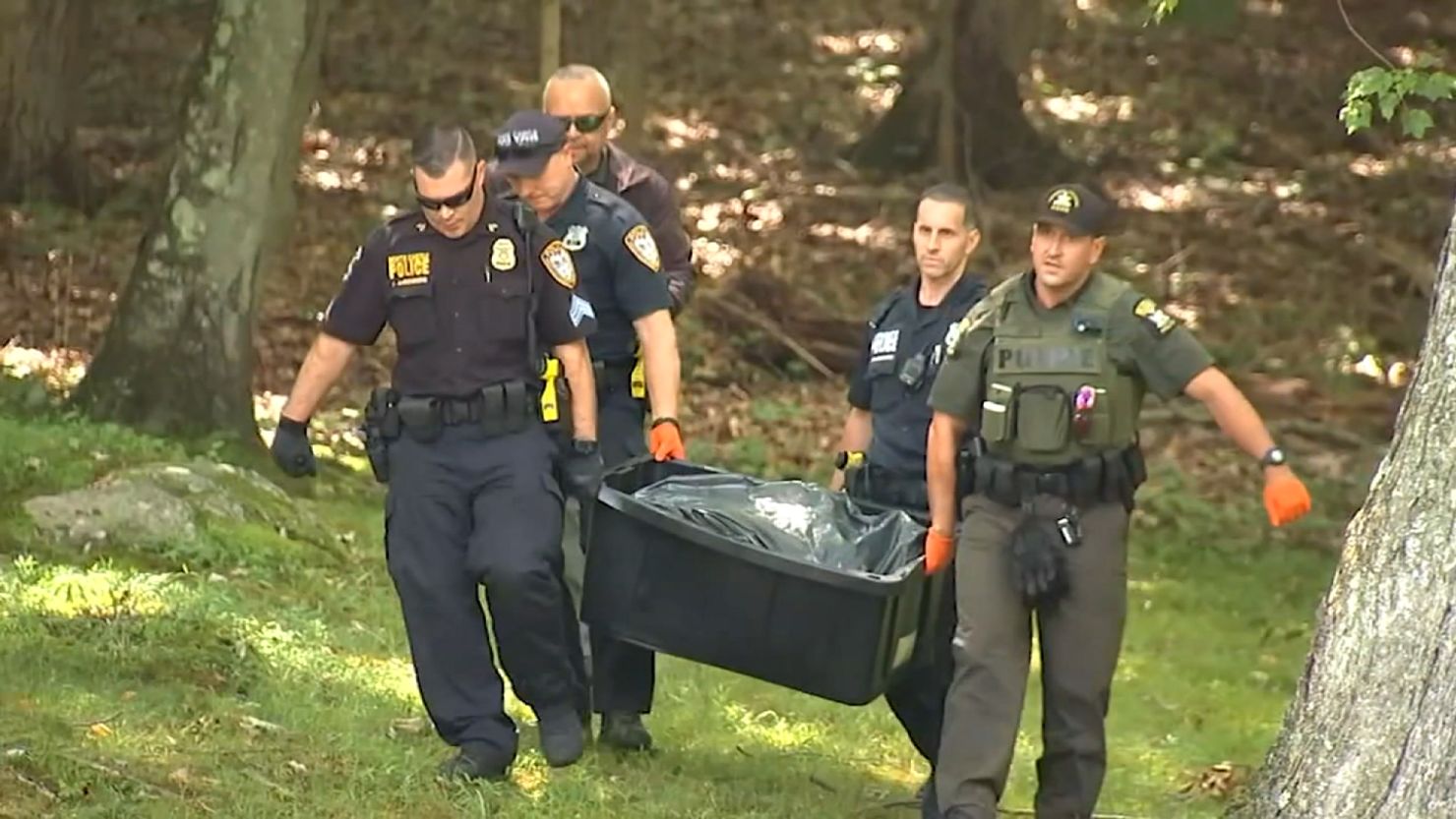 New York bear attack: A 7-year-old boy was attacked by in the backyard of his Westchester County ...