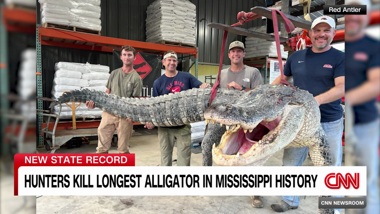 Hunters in Mississippi bag longest alligator in state history | CNN