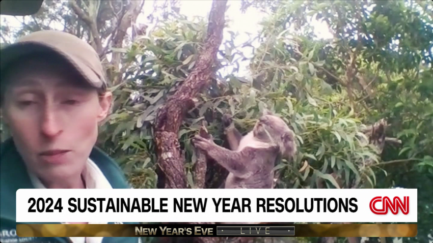 New Year’s climate and sustainability resolutions | CNN