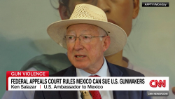 Federal appeals court rules Mexico can sue U.S. gunmakers | CNN