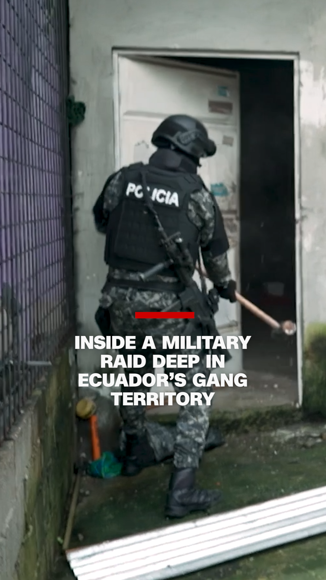 Cat caught smuggling drugs into prison | CNN