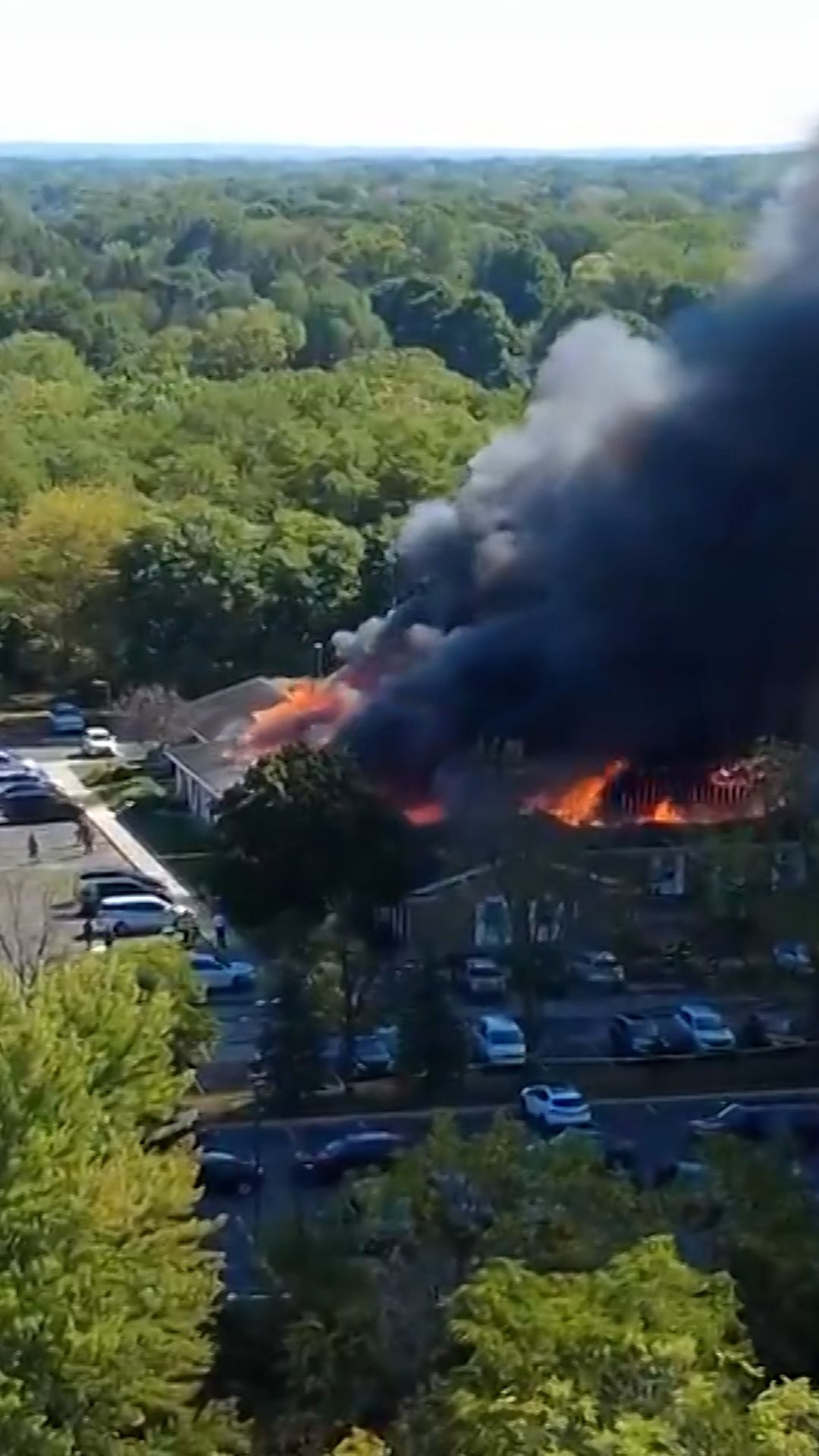 ‘Daddy’s home:’ Trump leans into NATO chief comment | CNN