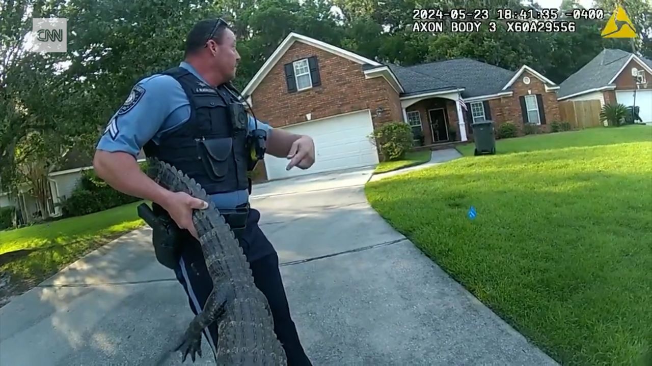 ‘You can pet it’: Georgia police wrangle alligator in driveway | CNN