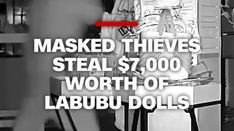 Masked thieves steal $7,000 worth of Labubu dolls | CNN