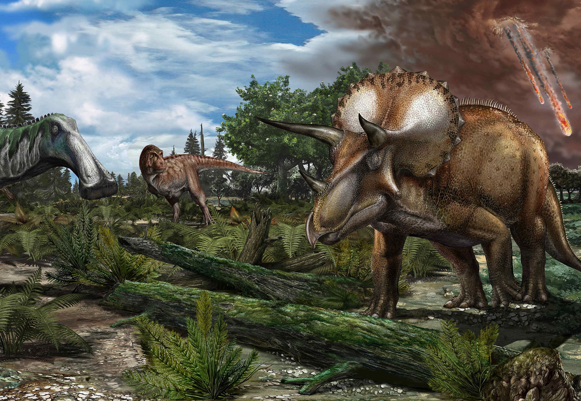 Cretaceous Period Climate Cretaceous Period Facts And Information