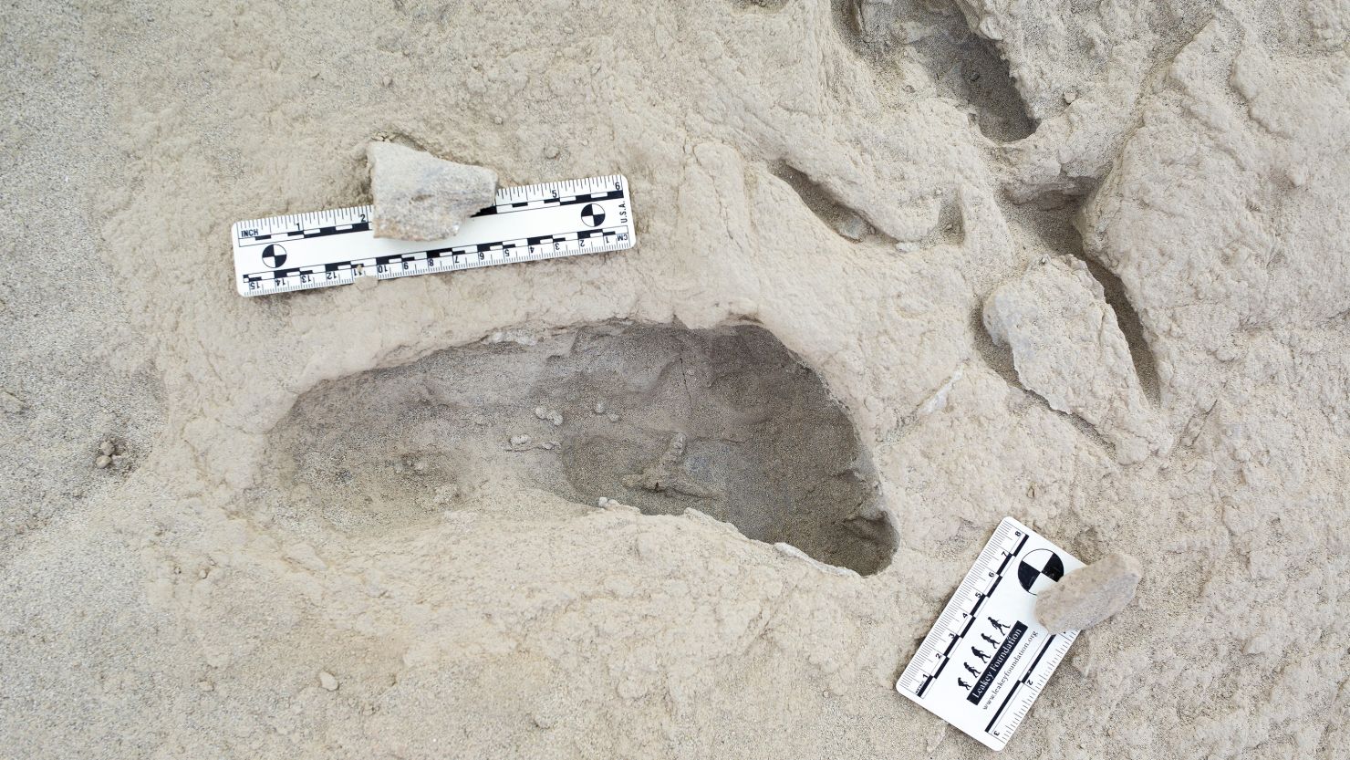 Discovery Of Fossilized Footprints Reveals The Moment Two Ancient Human