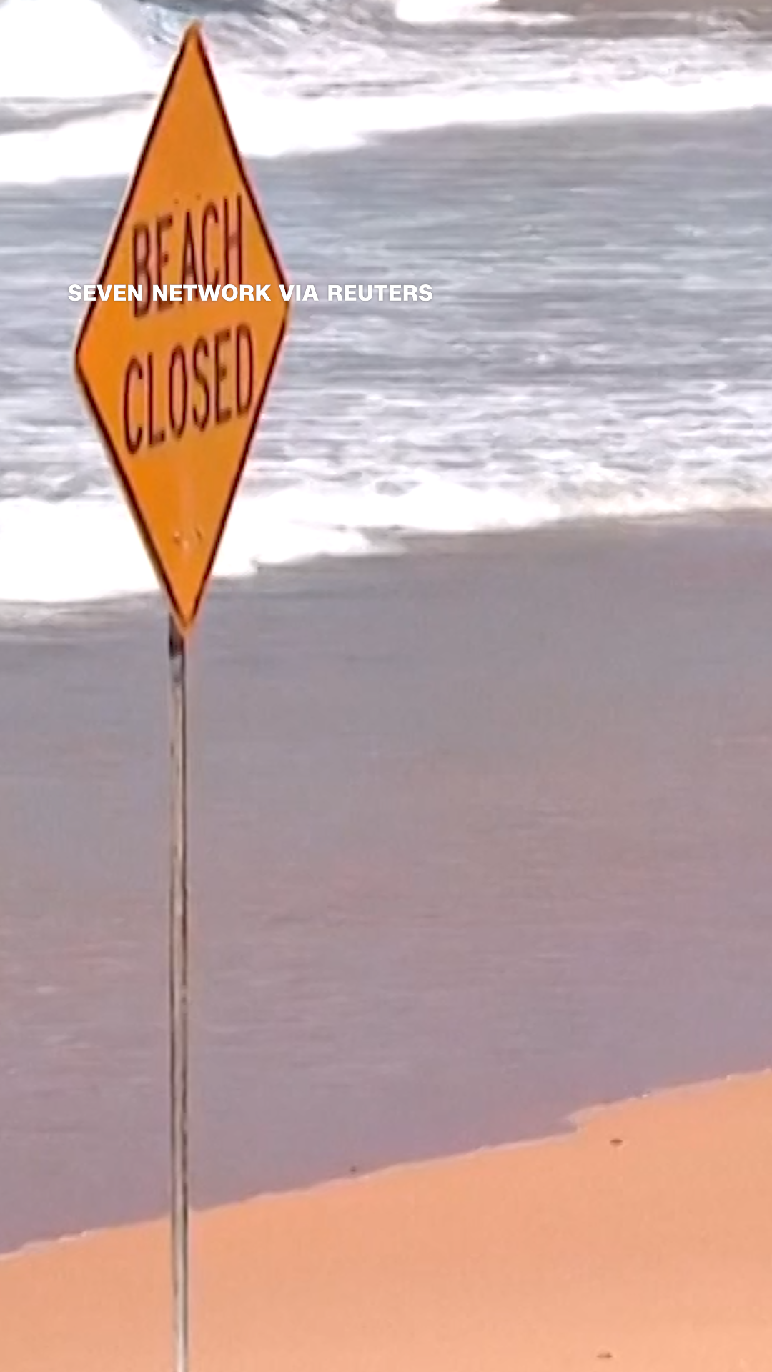 Shark attack kills Sydney surfer | CNN