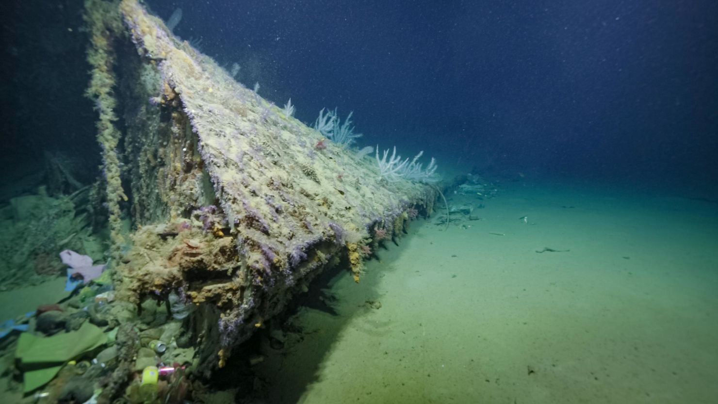 A torpedoed US Navy ship escaped the Pacific in reverse, using coconut logs. Its sunken bow has ...
